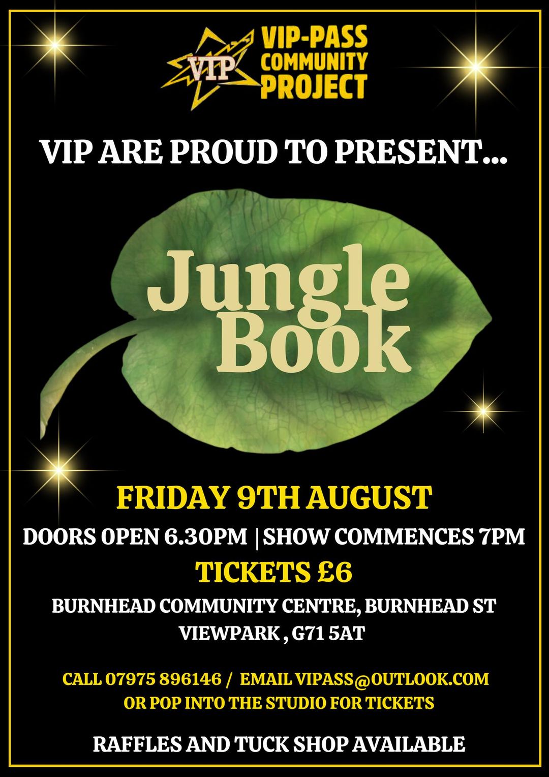 𝐕𝐈𝐏 𝐩𝐫𝐞𝐬𝐞𝐧𝐭𝐬 𝐉𝐮𝐧𝐠𝐥𝐞 𝐁𝐨𝐨𝐤! – VIP Community Project